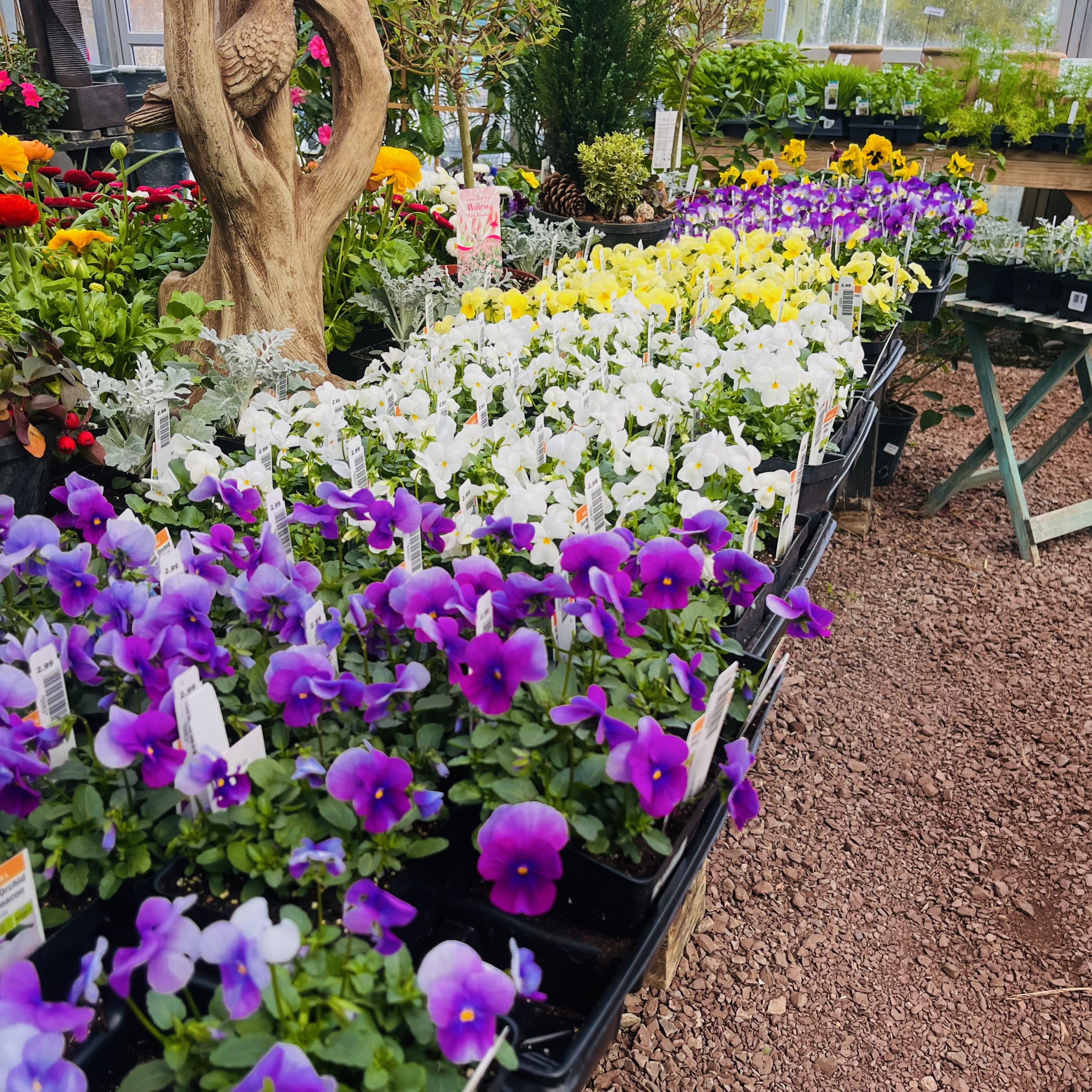 This Week at Gardner’s – Gardner's Landscape Nursery